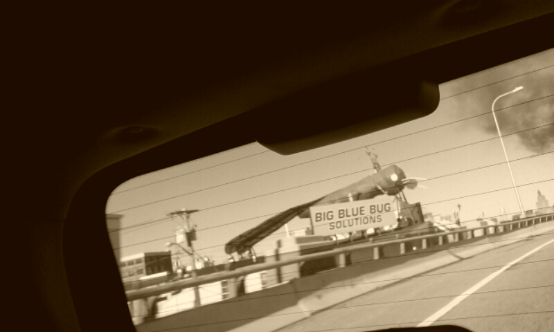 Liz Baron » 08.15.17